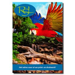 RSL Posters